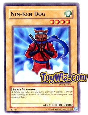 YuGiOh Dark Revelation 1 Single Card Common Nin-Ken Dog DR1-EN164 - ToyWiz