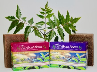 Neem Charcoal and Resin Soap- Learn the Benefits - All About Neem