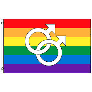 Rainbow Flag / Gay Pride Flag (Double Male Mars Symbols) - 3 x 5 ...