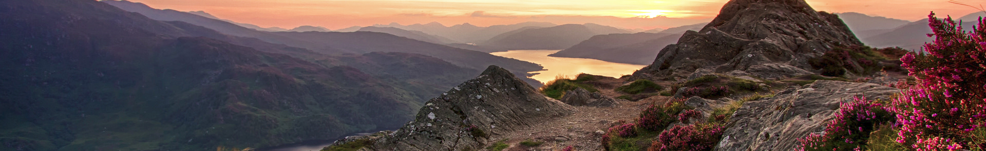 Tailoring - Jackets/Blazers - Hacking Jacket - Bookster Tailoring