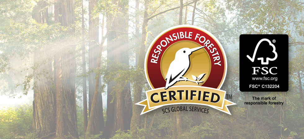 DayMark Safety Systems