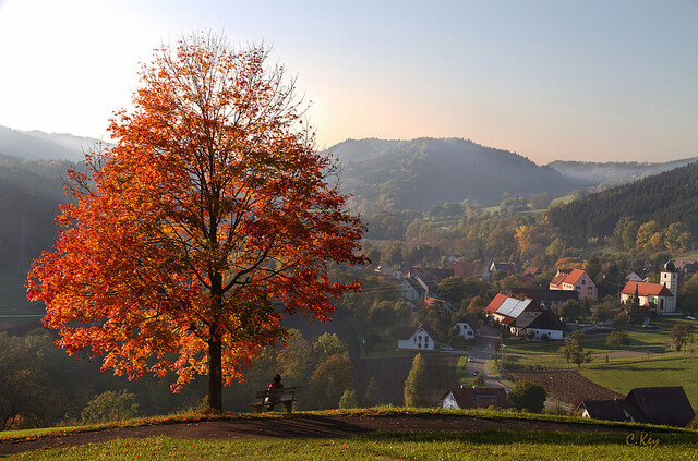 Top Things To Do and See in Black Forest Germany - Bavarian ClockWorks