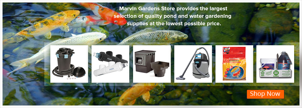 Marvin Gardens Store