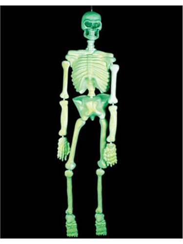 5' Glow in the Dark Prop Skeleton Halloween Decoration