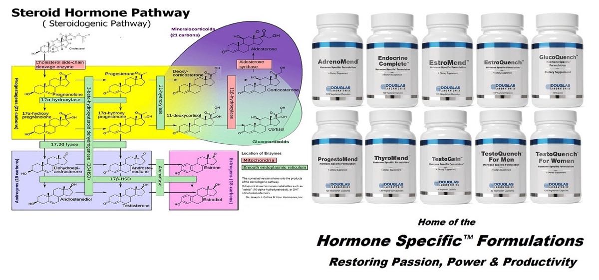 Your Hormones the original formulator: Dr Joseph Collins of the Hormone ...