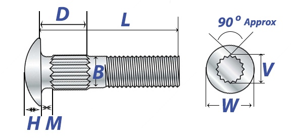 Carriage Bolts: Dimensions & Mechanical Properties | AFT Fasteners