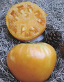 Primo Red Tomato Seed - Pase Seeds