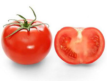 Hot Spell Tomato Seed