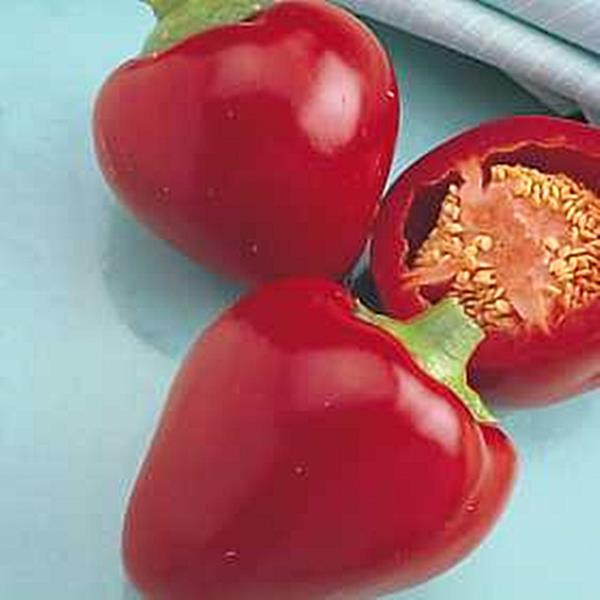 Pepper Seed - Sweet Pimento L Seeds