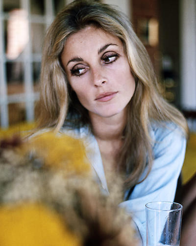 Movie Market - Photograph & Poster of Sharon Tate 285149