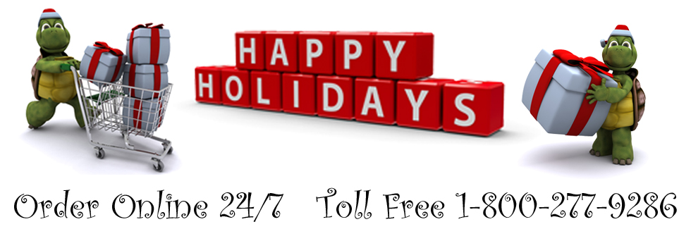 Turtle Store | Buy Turtles Online | Turtle Accessories - My Turtle Store