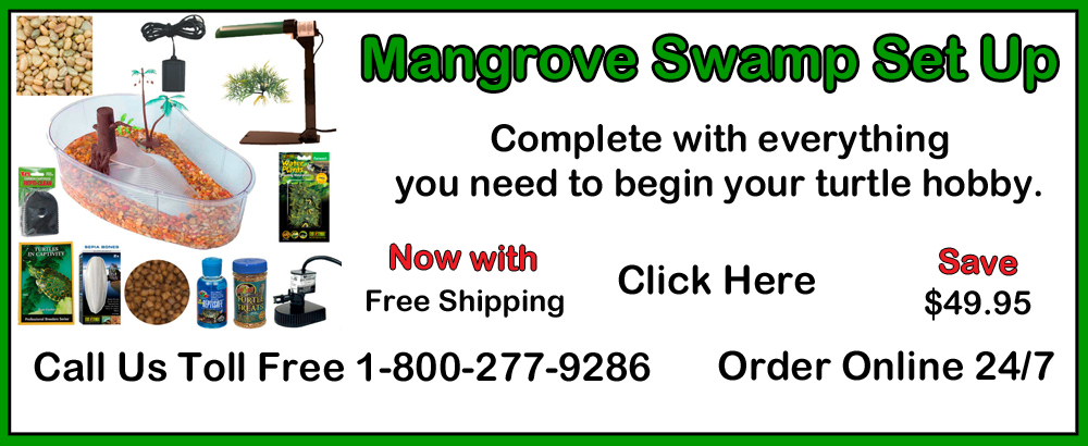 Turtle Store | Buy Turtles Online | Turtle Accessories - My Turtle Store