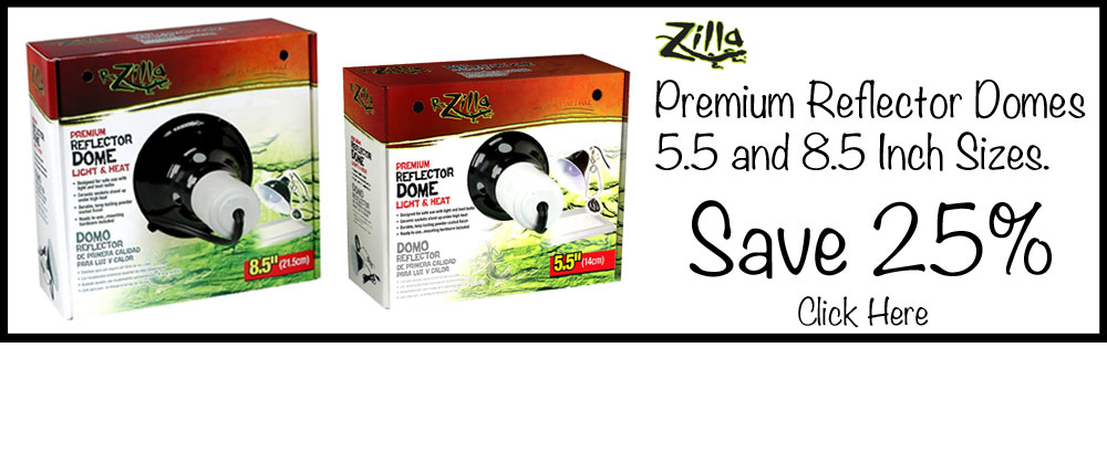 Turtle Store | Buy Turtles Online | Turtle Accessories - My Turtle Store