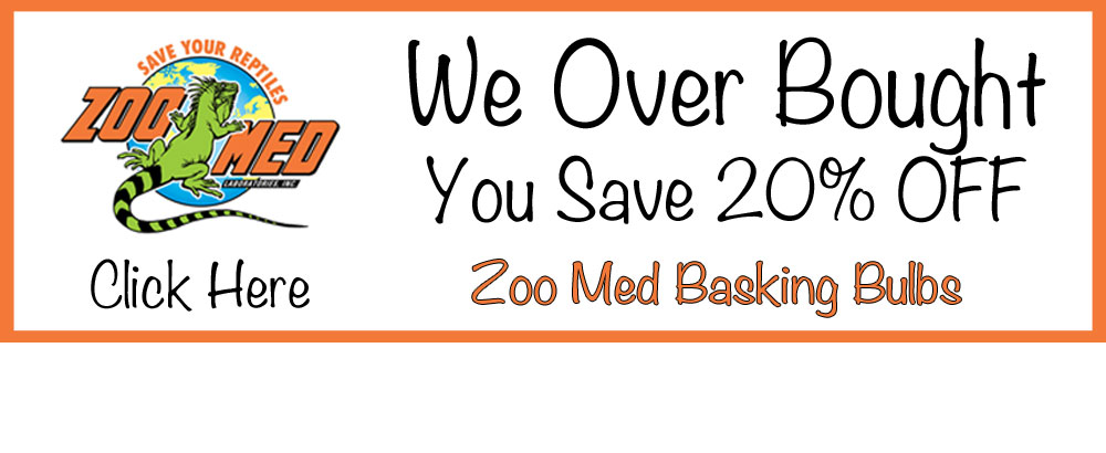 Turtle Store | Buy Turtles Online | Turtle Accessories - My Turtle Store