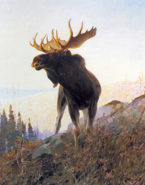 Carl Rungius Fine Art Prints | Encore Editions